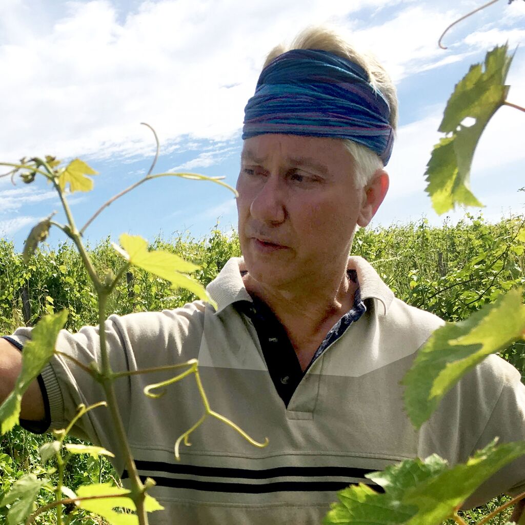 Louis/Dressner Selections