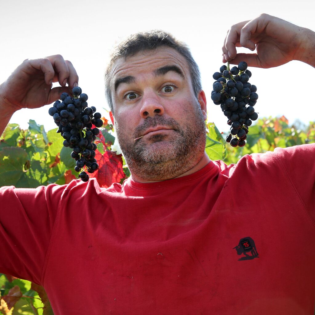 Louis/Dressner Selections