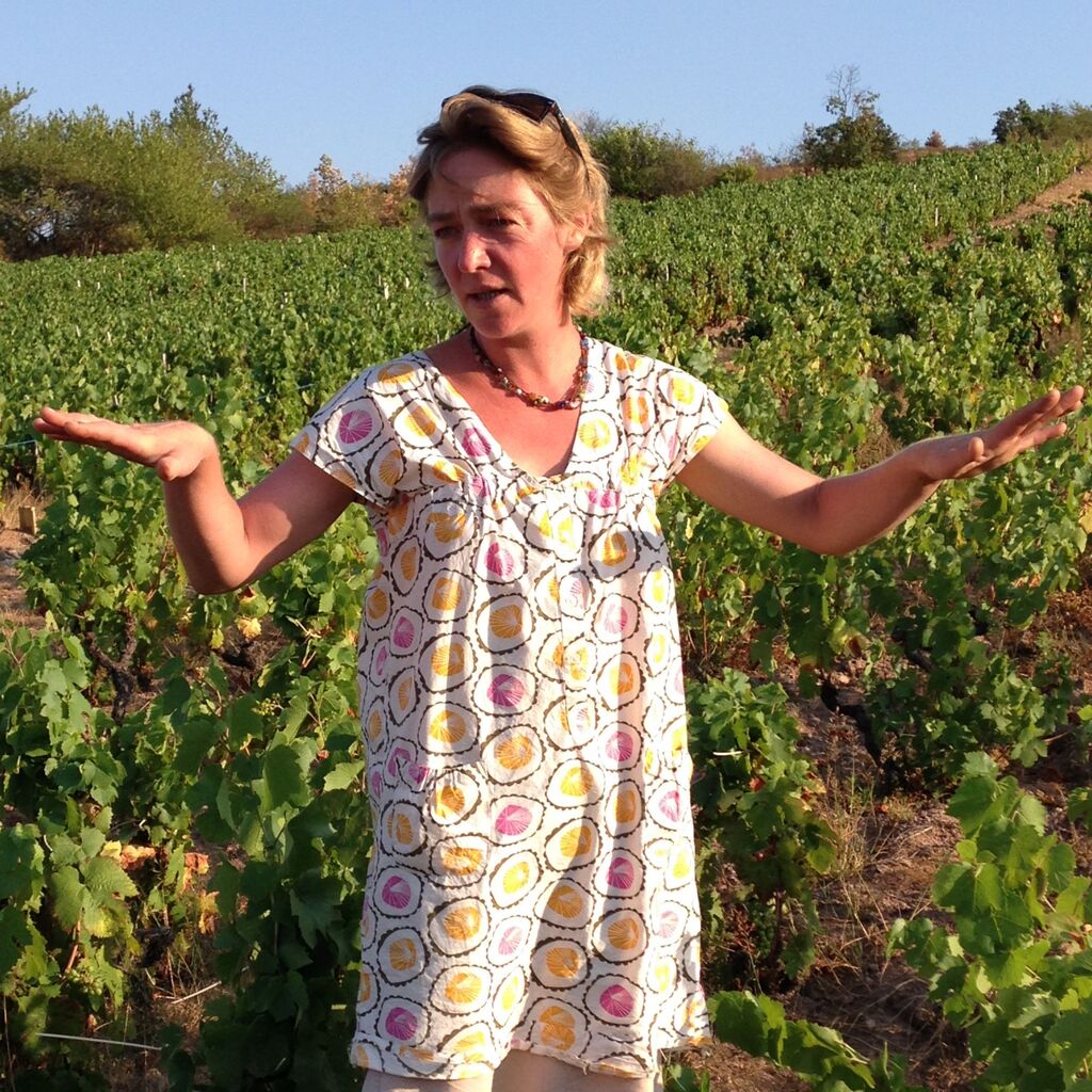 Louis/Dressner Selections