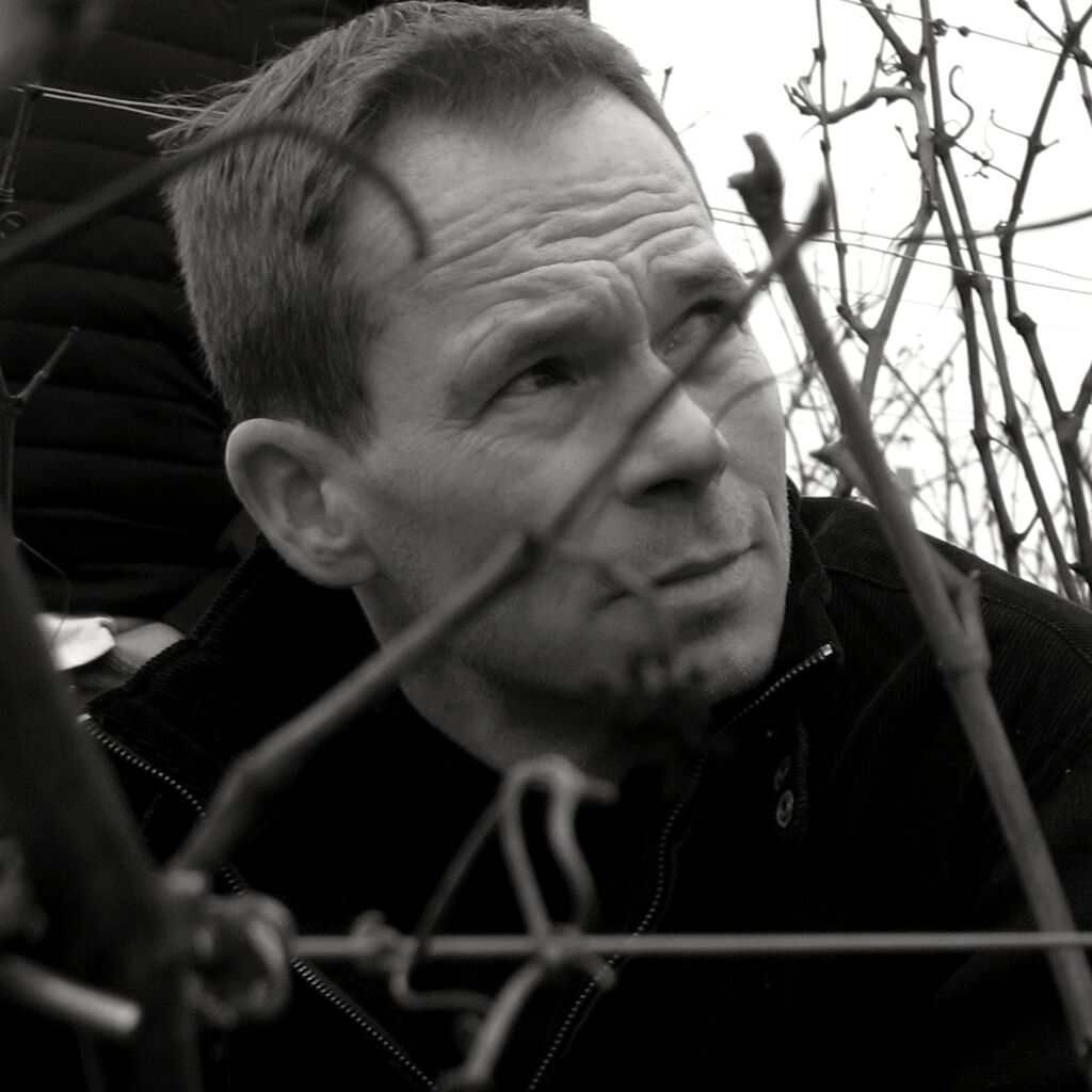 Louis/Dressner Selections